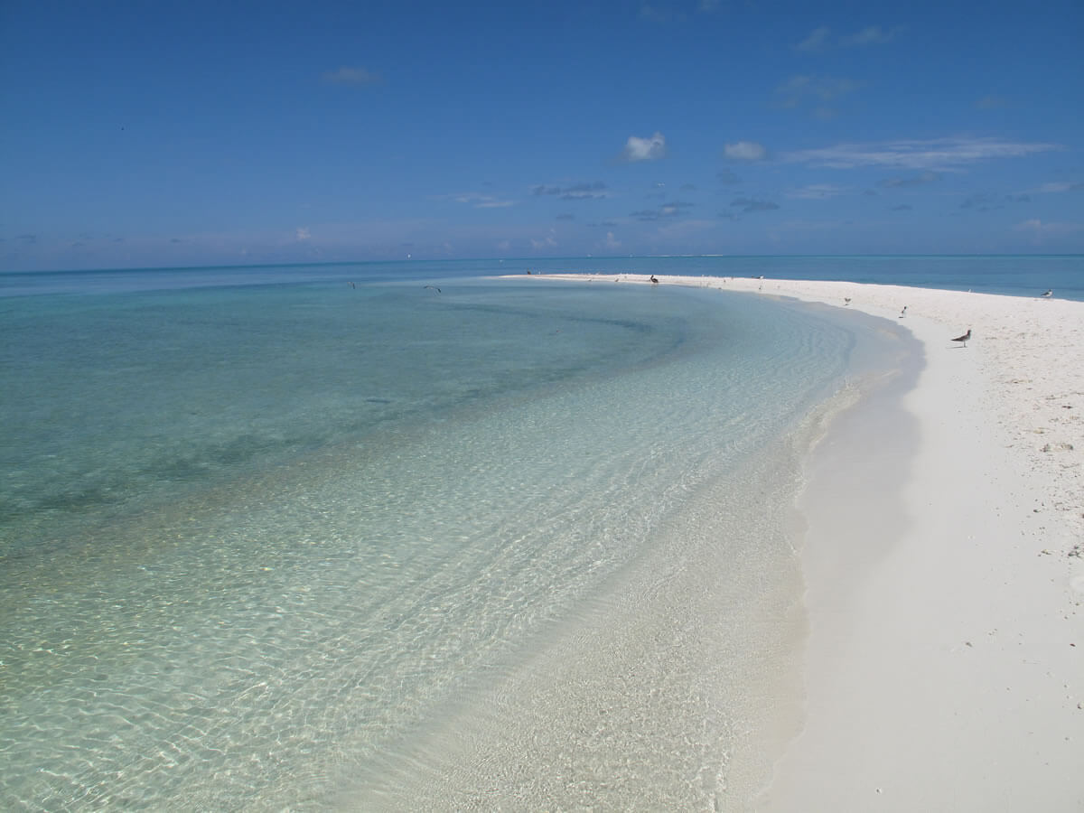 Exploring Arrecife Alacranes: A Jewel of the Gulf of Mexico | LAC Geo