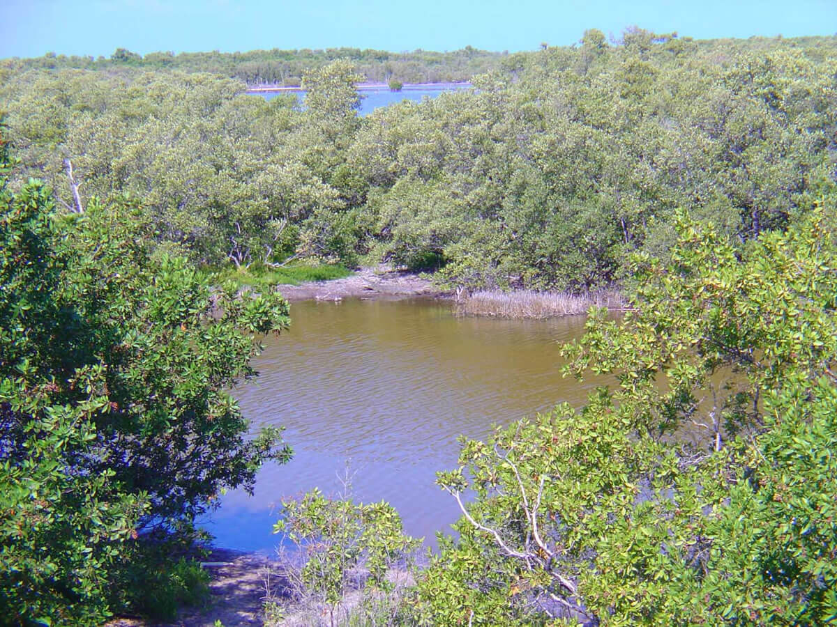 Banco Chinchorro Biosphere Reserve: A Jewel in the Yucatán's Crown ...