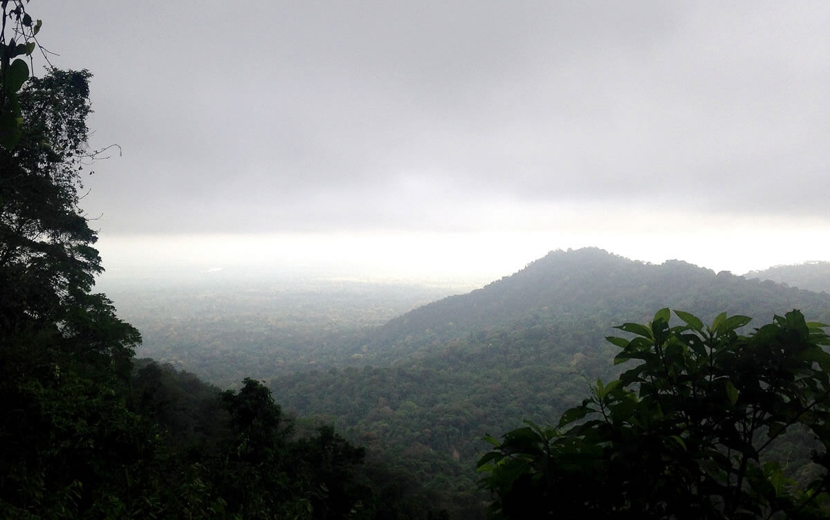 Darién National Park: A Bastion of Biodiversity & Cultural Heritage ...