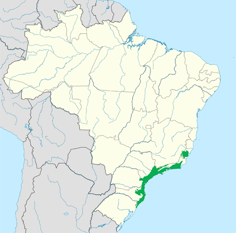 Serra do Mar: Brazil's Emerald Escarpment | LAC Geo