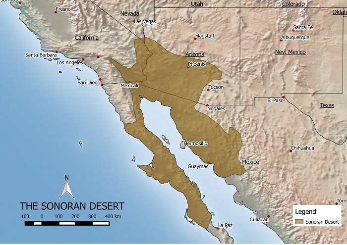 Sonoran Desert & Ecoregion (Mexico) | LAC Geo