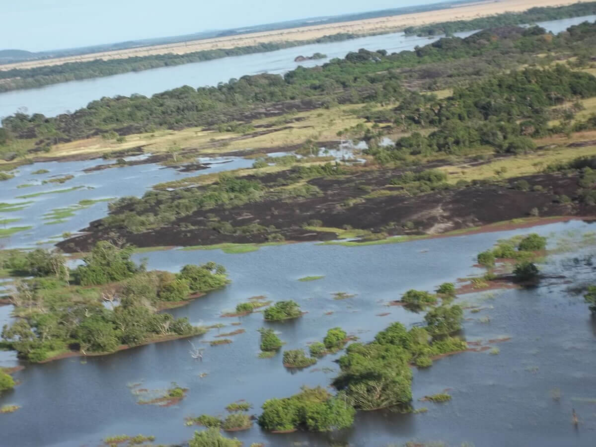 Orinoco Wetlands: A Mosaic of Flooded Grasslands | LAC Geo