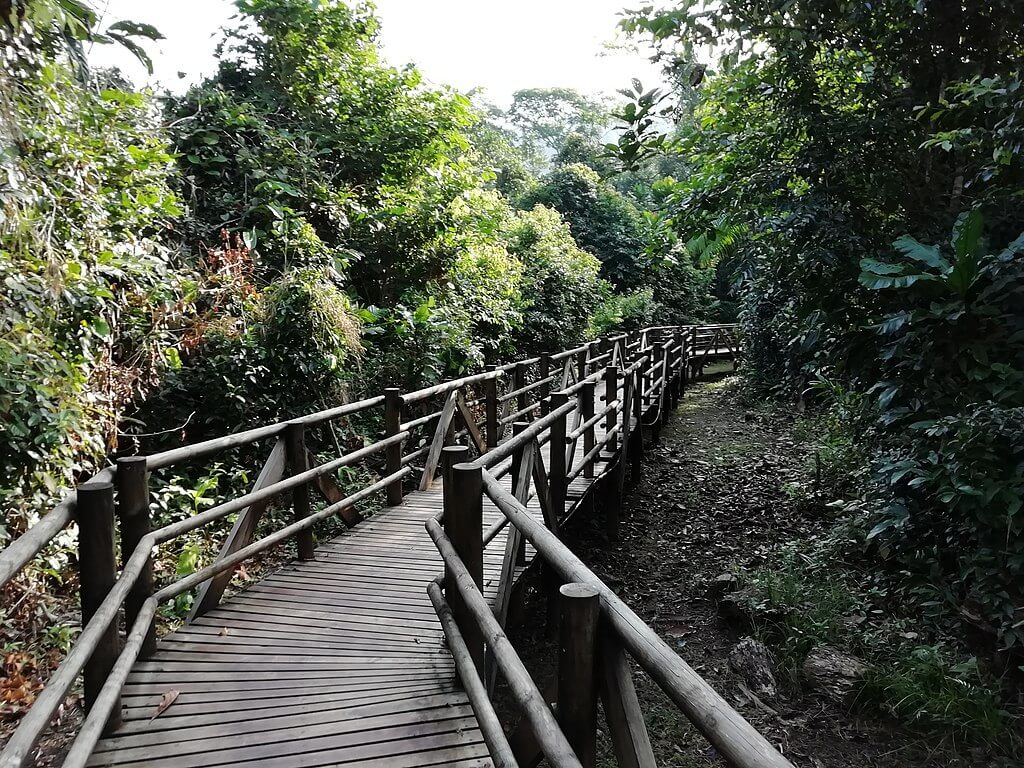 Utría National Natural Park: A Mosaic of Biodiversity & Culture | LAC Geo