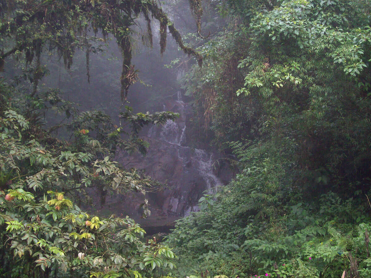 Mata Atlântica Biosphere Reserve: Brazil's Crown Jewel | LAC Geo