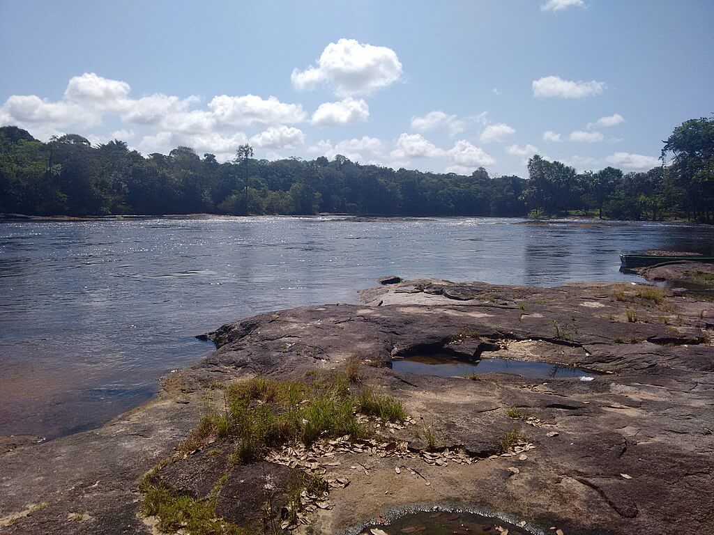 The Amapá Biodiversity Corridor: Safeguarding the Amazon's Ecological ...