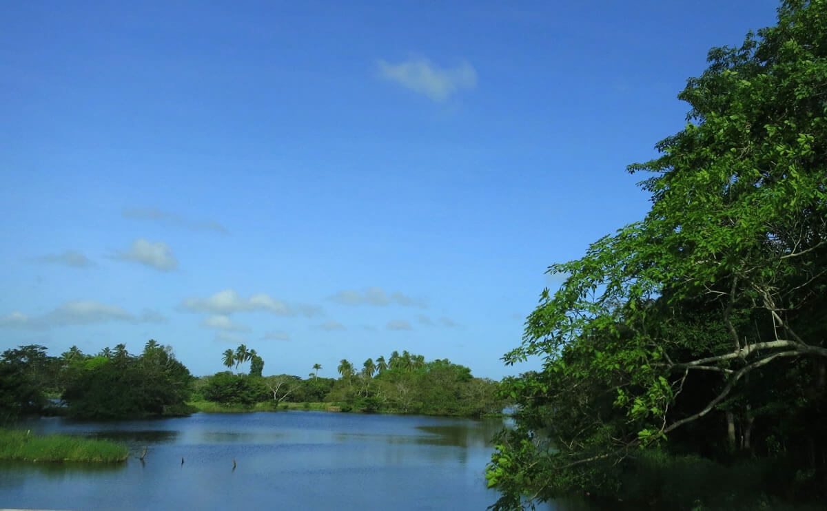 Pantanos de Centla Biosphere Reserve: Mexico's Wetland Haven | LAC Geo