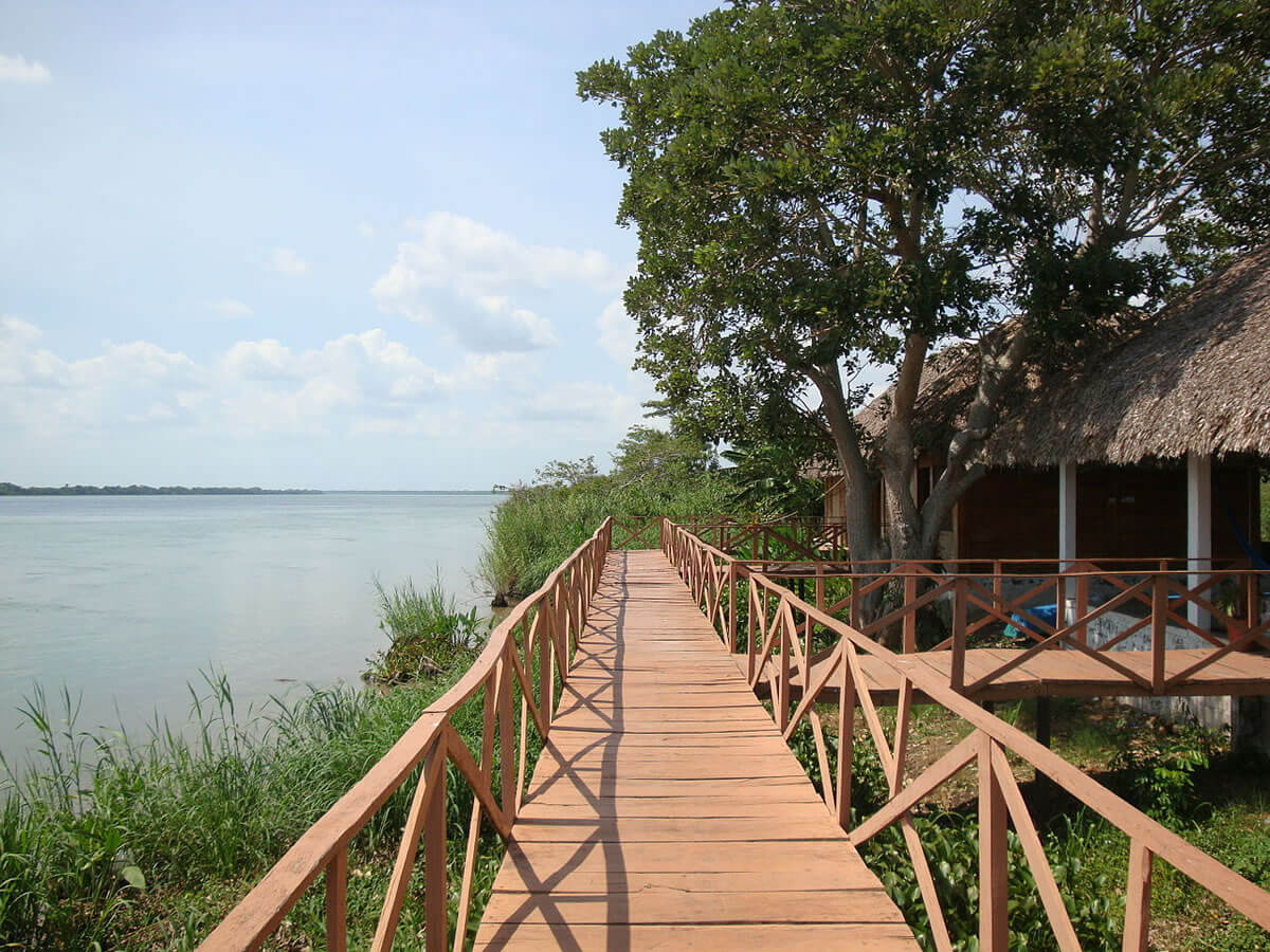 Pantanos de Centla Biosphere Reserve: Mexico's Wetland Haven | LAC Geo