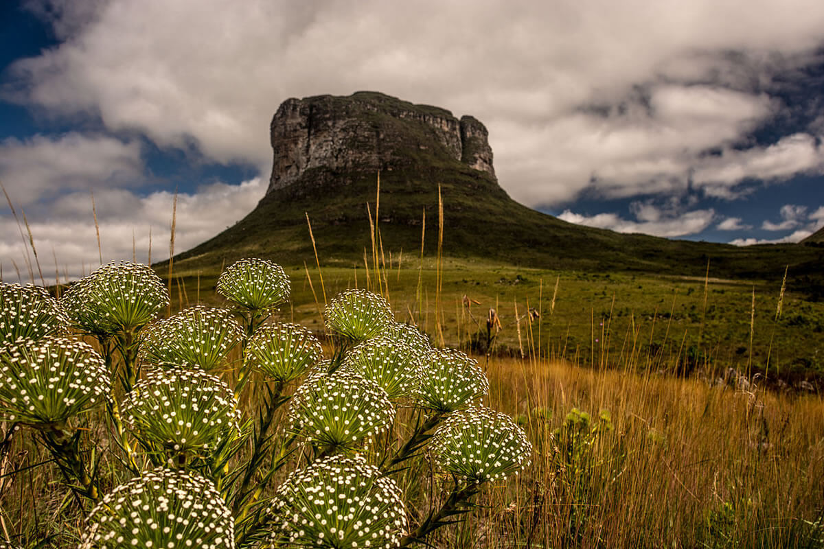 Chapada Diamantina: Nature's Masterpiece in the Brazilian Highlands ...
