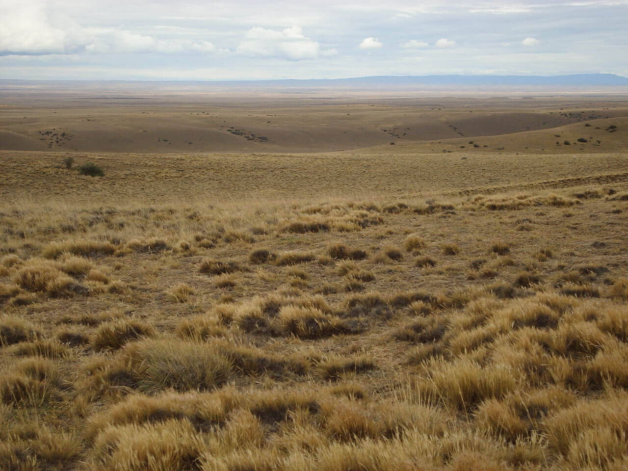 Patagonian Desert: Magellanic Steppe Ecoregion | LAC Geo