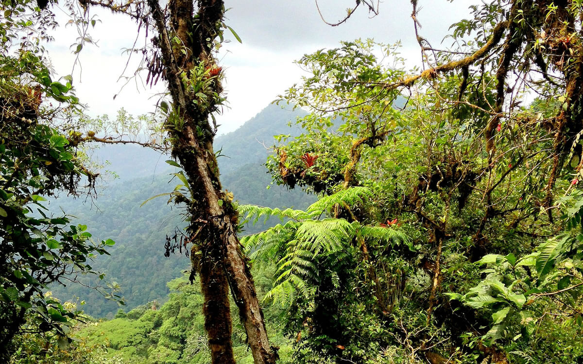 Darién National Park: A Bastion of Biodiversity & Cultural Heritage ...