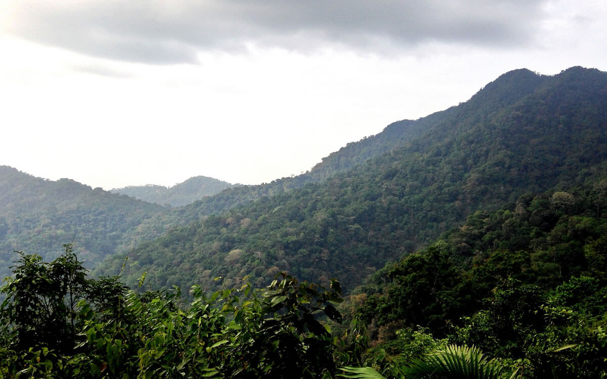 The Chocó-Darién Moist Forests: A Biodiversity Hotspot | LAC Geo