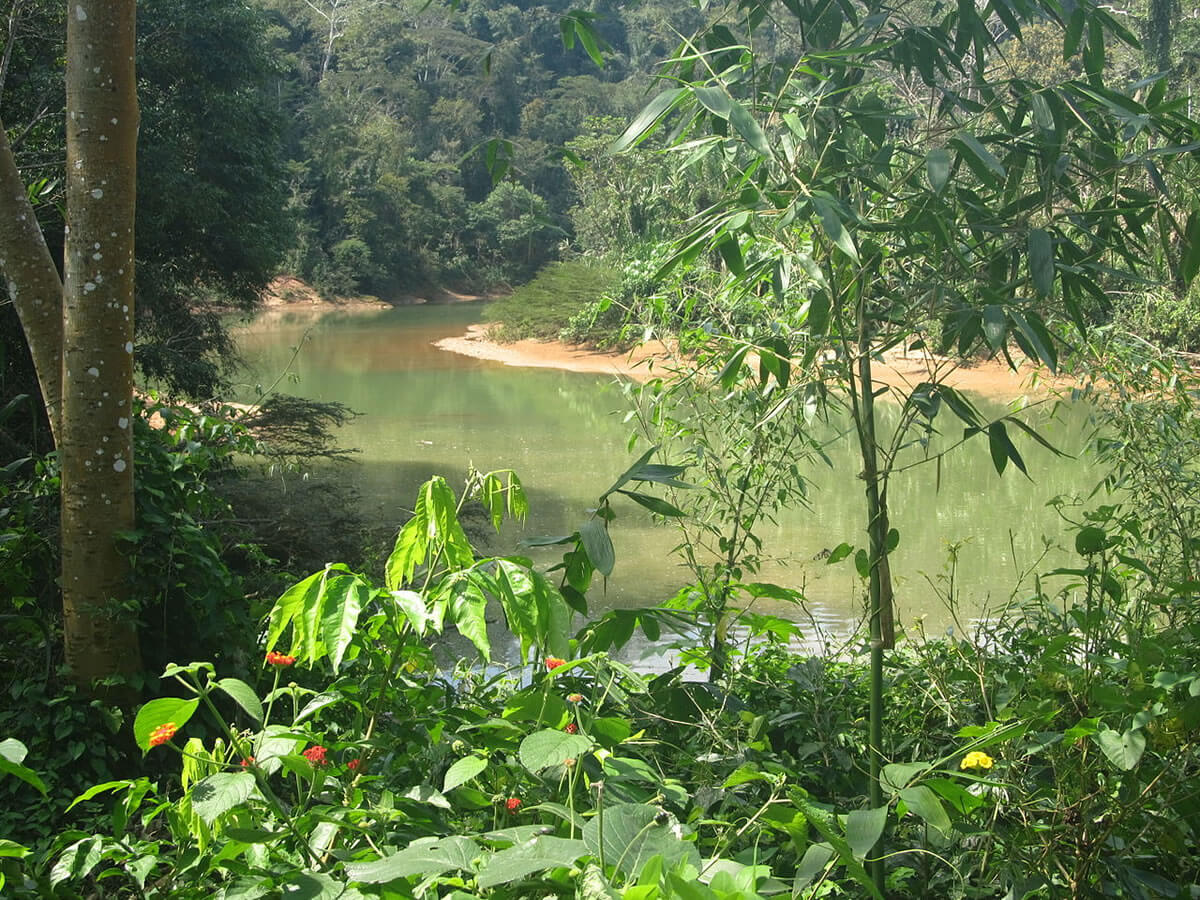 Pilón Lajas Biosphere Reserve: A Nexus of Nature & Culture | LAC Geo