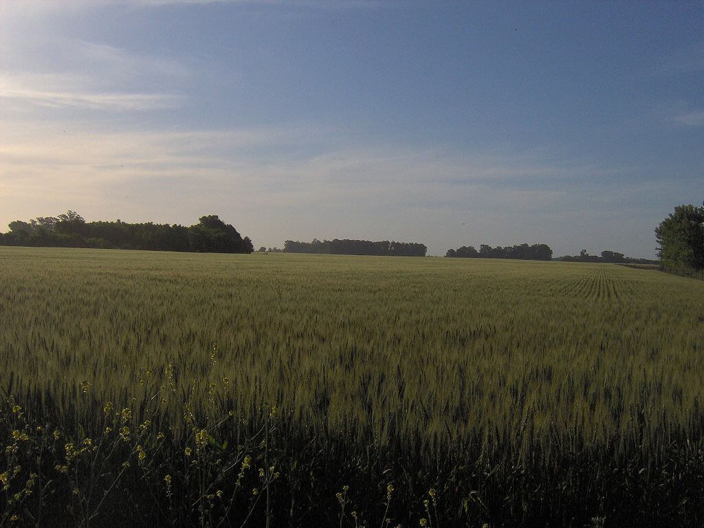 The Pampas: South America's Verdant Canvas | LAC Geo