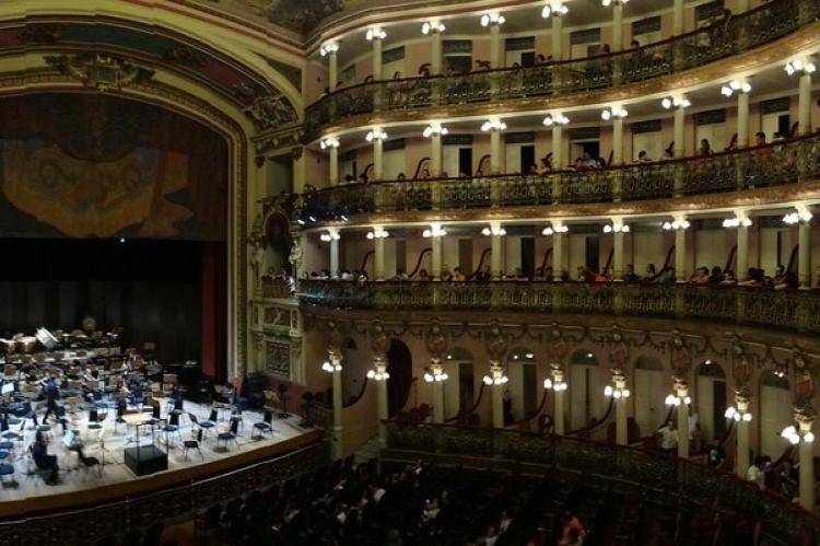 The Magnificent Teatro Amazonas: A Jewel in the Heart of the Amazon ...