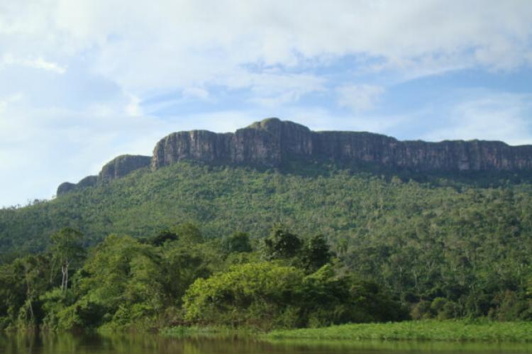 The Guianan Highlands Moist Forests: A Tapestry of Rainforests ...