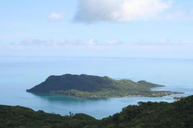 Exploring the Seaflower: Colombia's Vibrant Marine Biosphere Reserve ...
