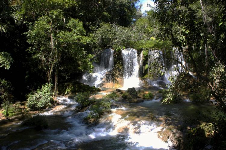 Lacandón Forest and Montes Azules Biosphere Reserve | LAC Geo