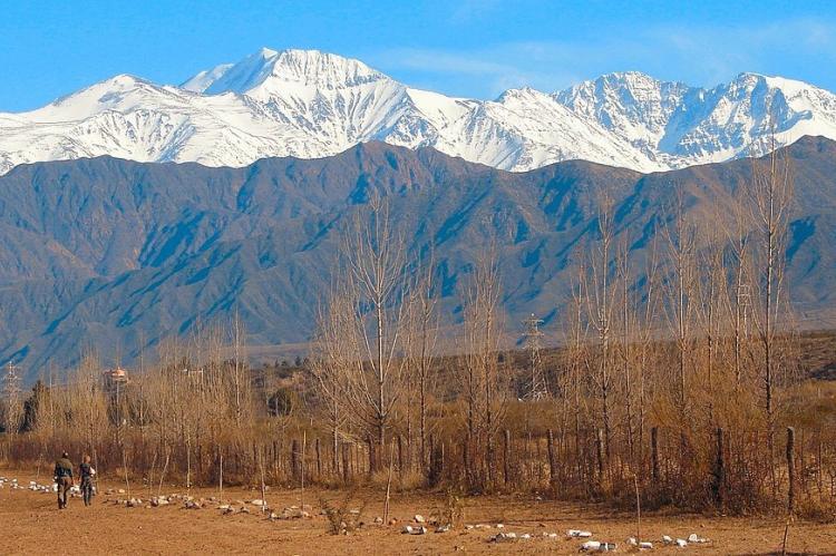 Argentina's Cuyo Region: History, Wine, & Natural Wonders | LAC Geo