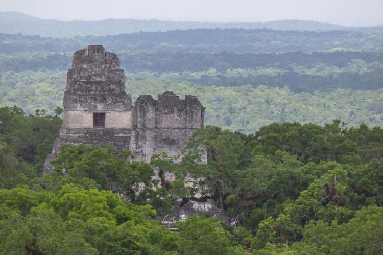 Maya Biosphere Reserve: Guatemala's Crown Jewel | LAC Ge