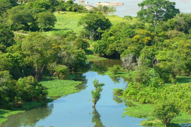 The Orinoco River: South America's Arc of Life | LAC Geo
