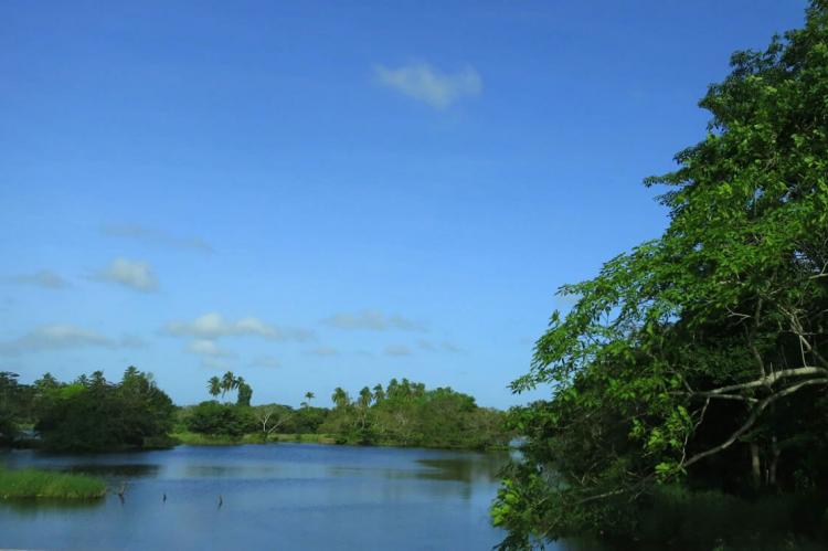 Pantanos de Centla Biosphere Reserve: Mexico's Wetland Haven | LAC Geo