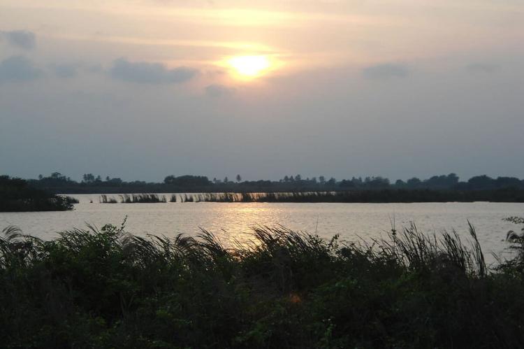 Pantanos de Centla Biosphere Reserve: Mexico's Wetland Haven | LAC Geo