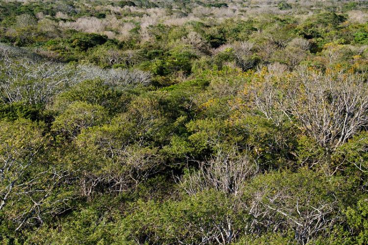 Santa Rosa National Park: Blending History & Biodiversity | LAC Geo