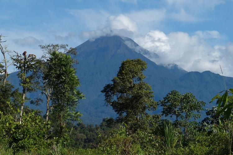 Sumaco Napo-Galeras: Ecuador's Ecological Treasure | LAC Geo