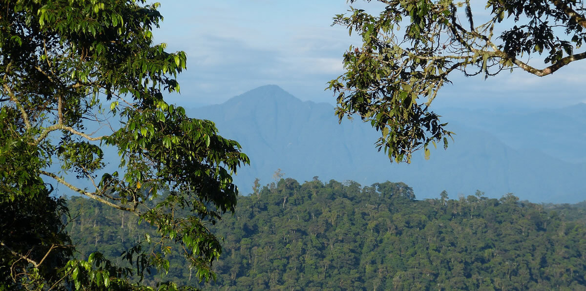 Sumaco Napo-Galeras: Ecuador's Ecological Treasure | LAC Geo