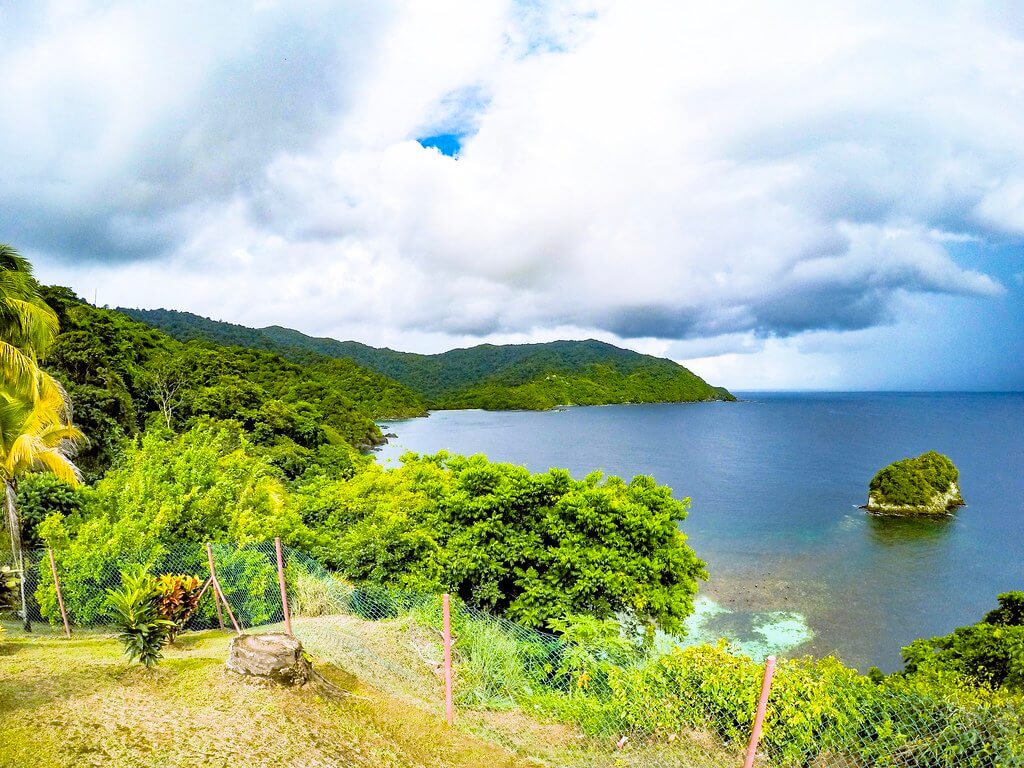 The Main Ridge Forest Reserve: Tobago's Natural Sanctuary | LAC Geo